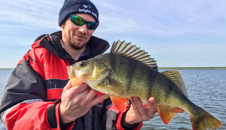 Bright Baits Belgium - Create your own Softbaits!