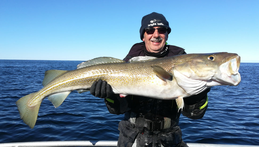 Bright Baits Belgium - Create your own Softbaits!